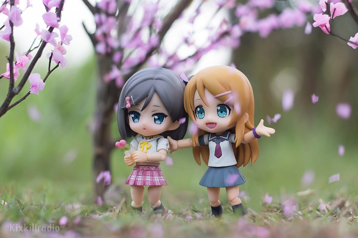 Video: How to Make a Miniature Cherry Blossom Tree – kixkillradio